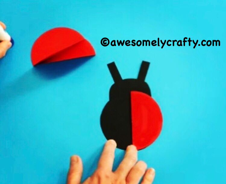 3D Ladybug Craft - Awesomelycrafty